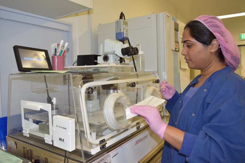 IVF Technology and How It Can Help You