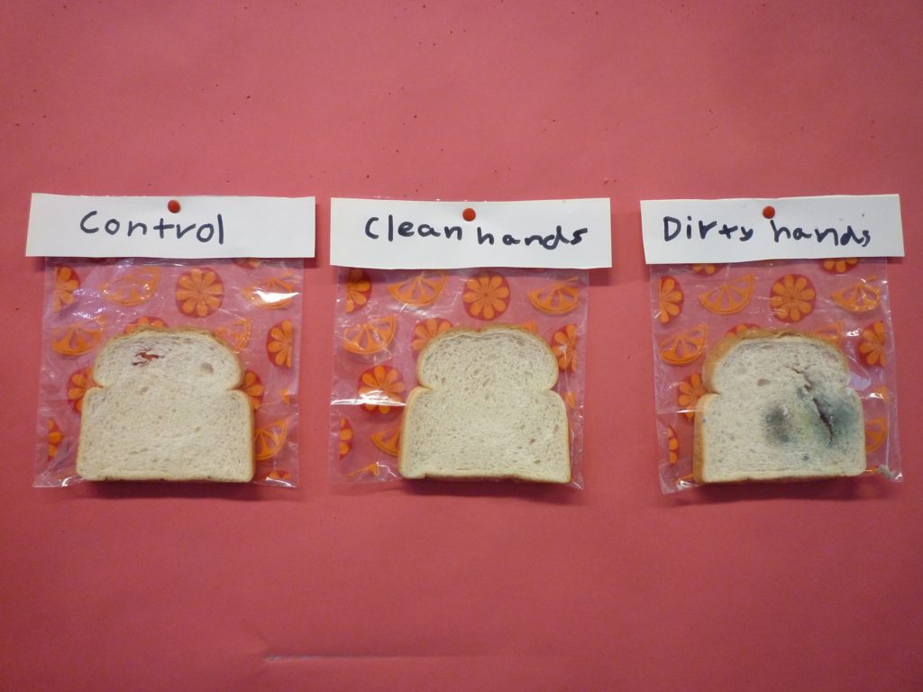 Why Is Washing Hands Important? | GetDoc Says