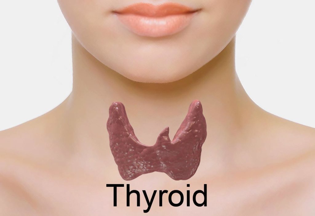 Thyroid Hormone - High/Low - What Does It Mean? | GetDoc Says