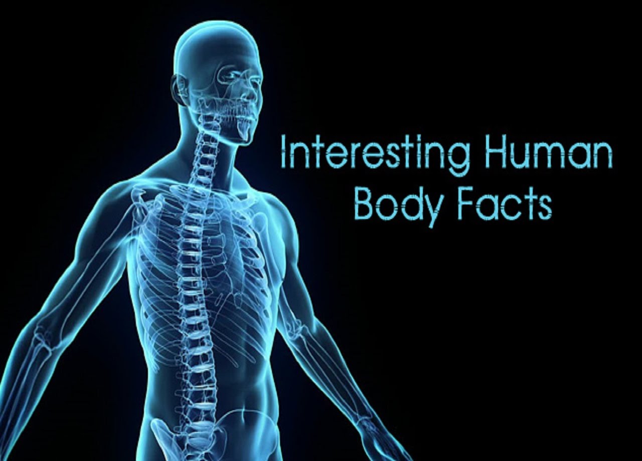 10 Fascinating Facts About Your Body GetDoc Says 10 Fascinating Facts About Your Body GetDoc Says