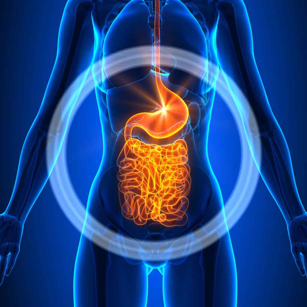 What Is Gut Health Exactly? | GetDoc Says