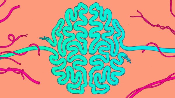 Best Brain Forward: Here's How