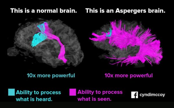 Asperger s Syndrome Explained The Symptoms And Treatment asperger-s-syndrome-explained-the-symptoms-and-treatment